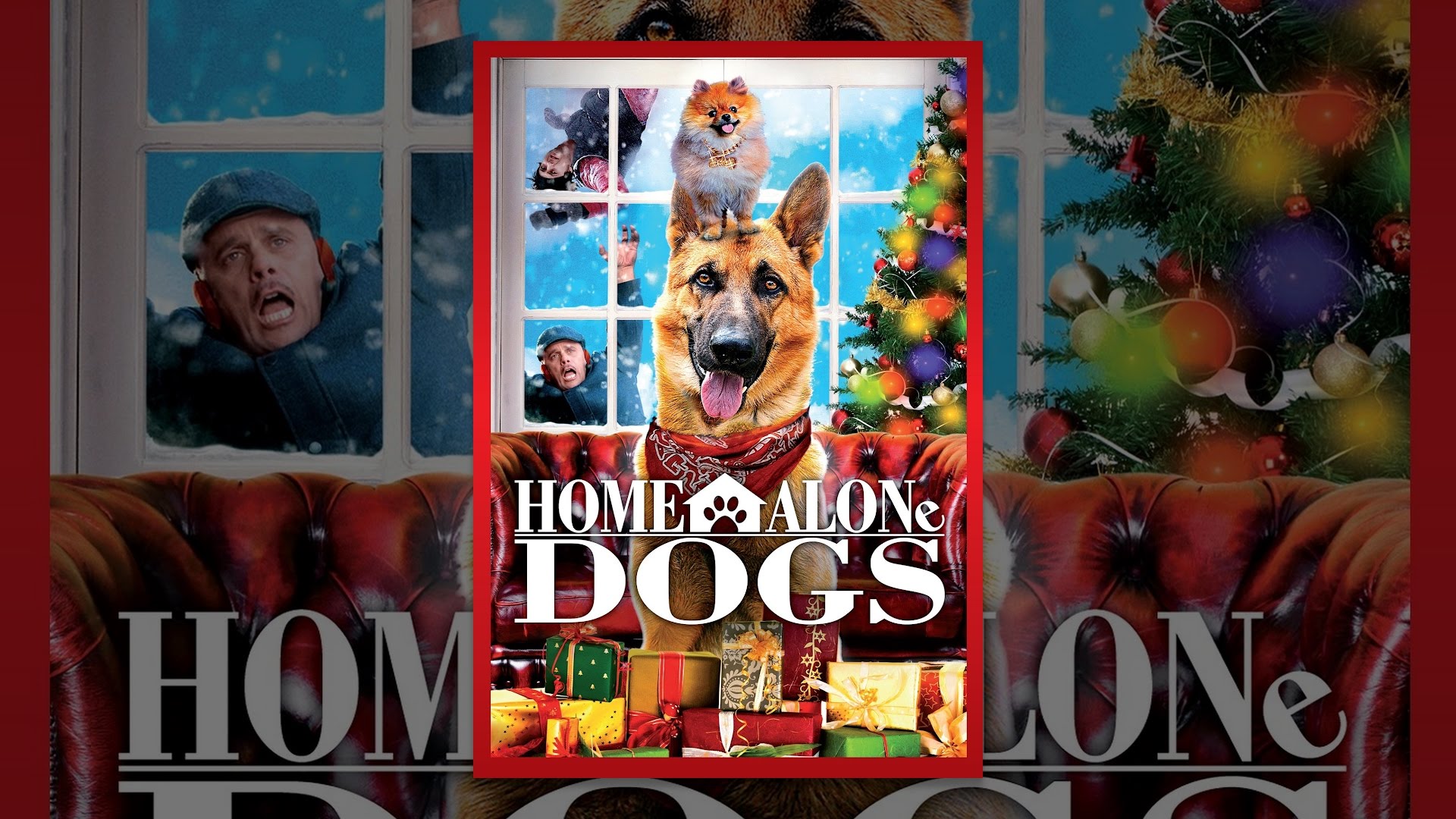 Home Alone Dogs - YouTube