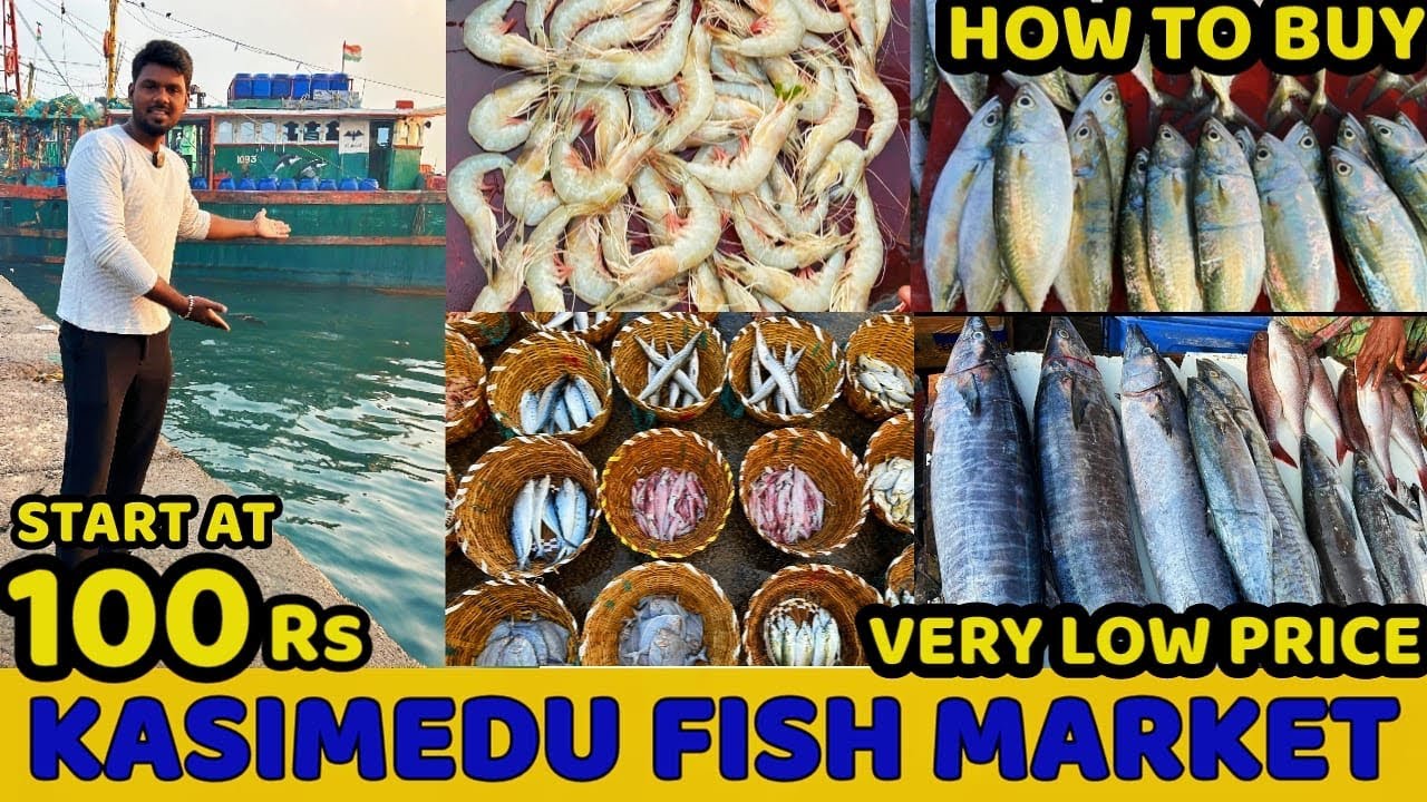SUNDAY KASIMEDU FISH MARKET 2024 - YouTube