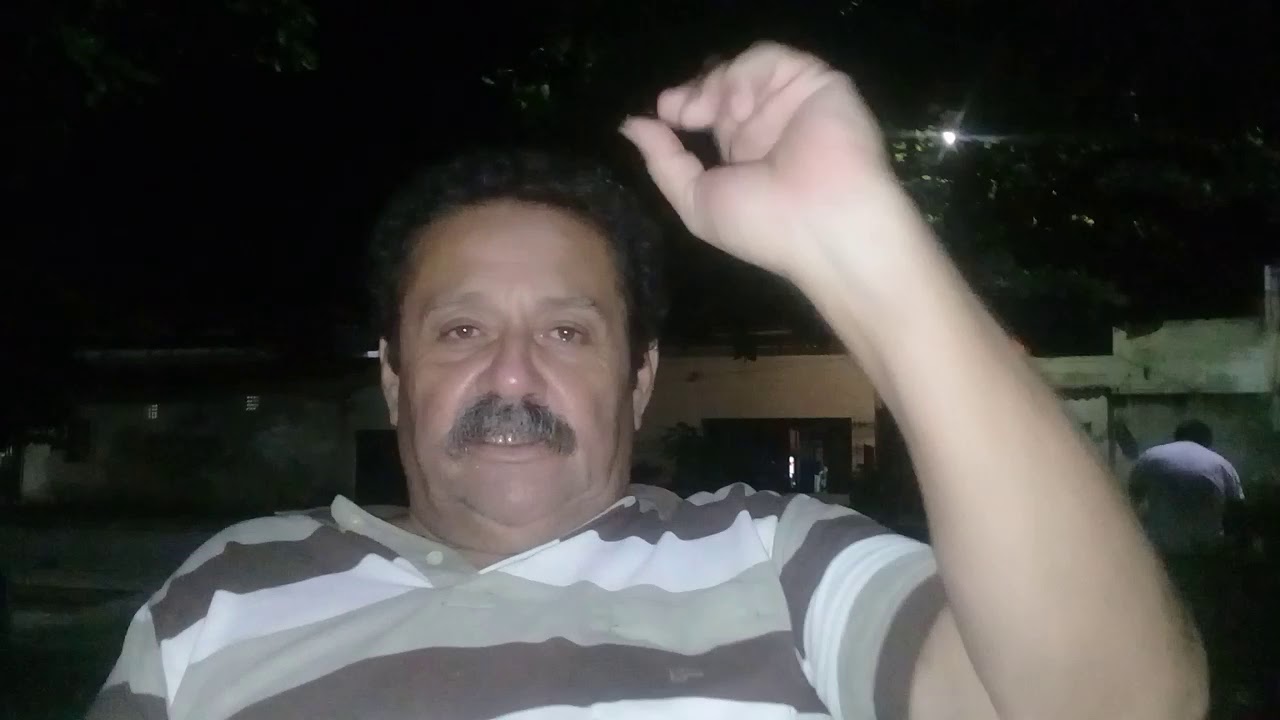 Valeu legalização do galismo Afonso Machado em história de galo - YouTube