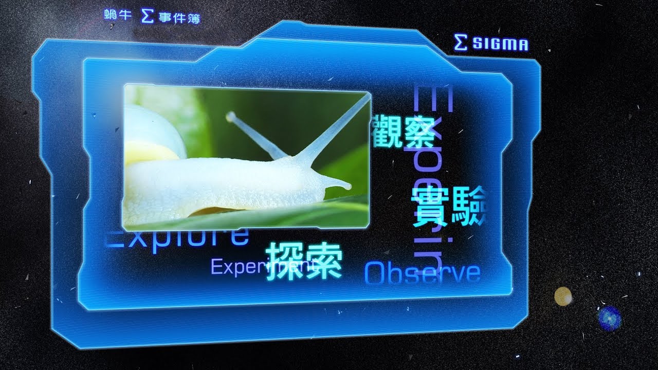 《Sigma事件簿：蝸牛》Taiwan Snail - YouTube