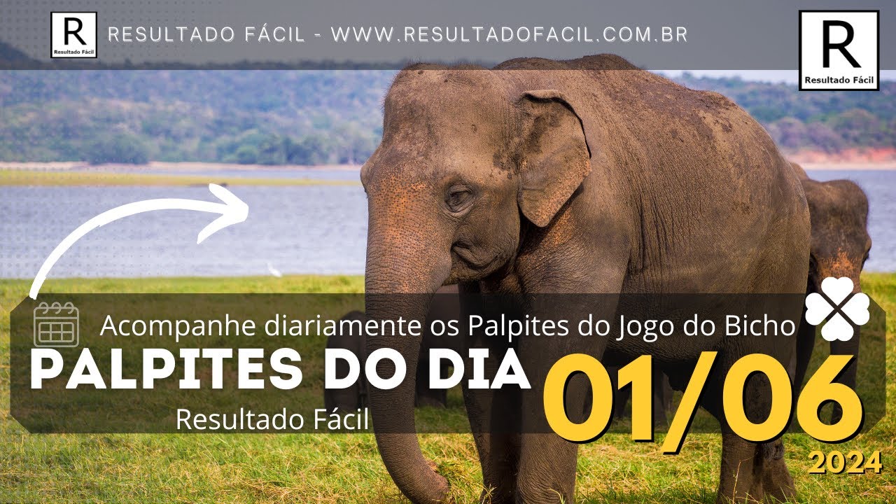 Palpite do dia 01/06/2024 Jogo do Bicho - Resultado Fácil - YouTube