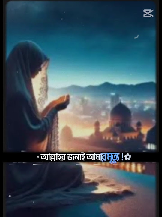 ইনশাআল্লাহ #foryou #shortvideo #islamic - YouTube