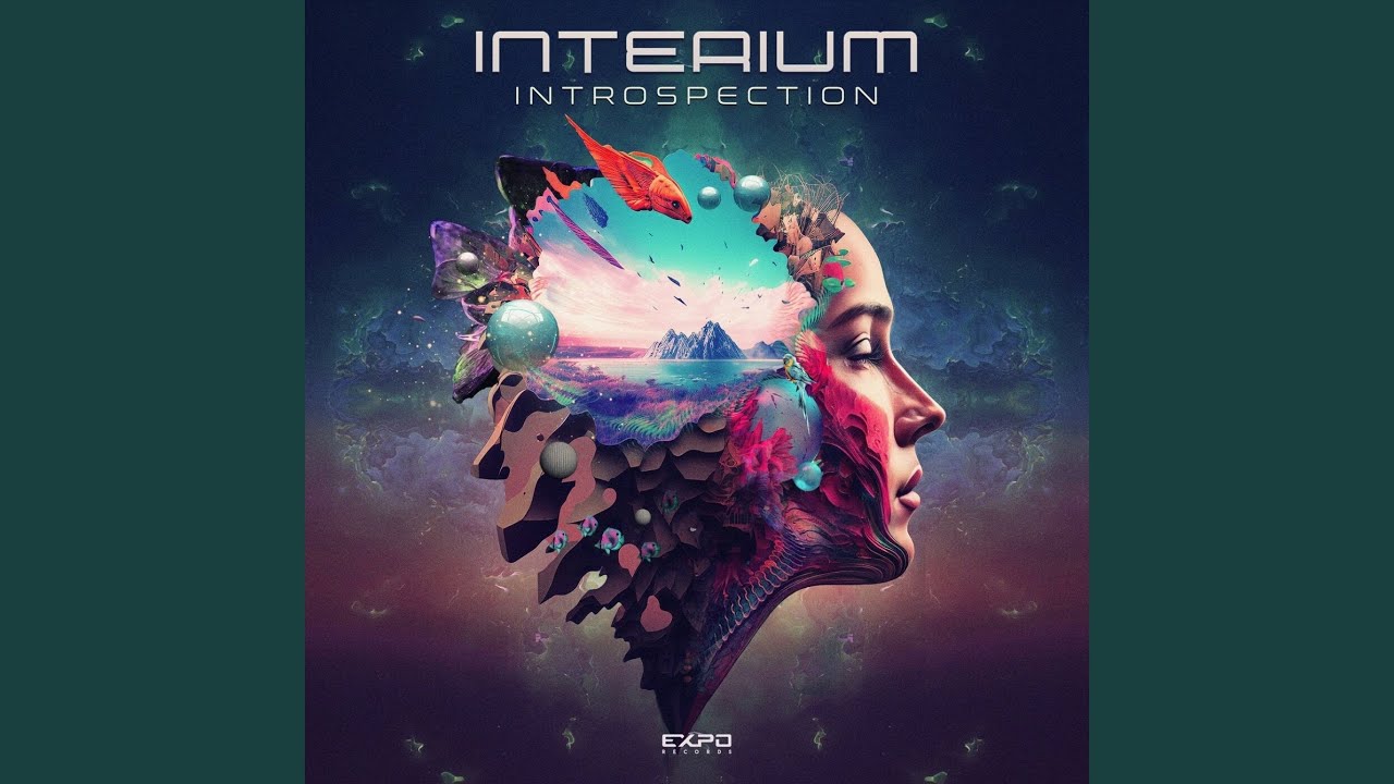 Introspection - YouTube