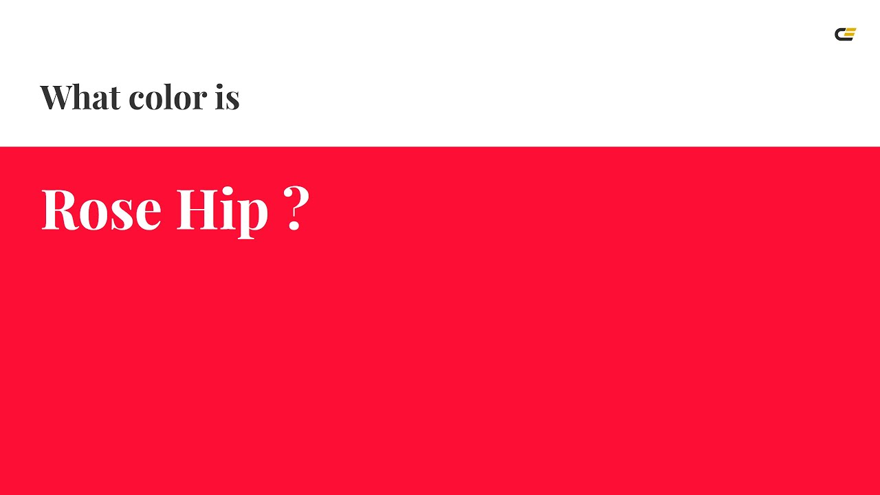 Rose Hip color #fd0e35 hex Cool Red color fd0e35 - YouTube