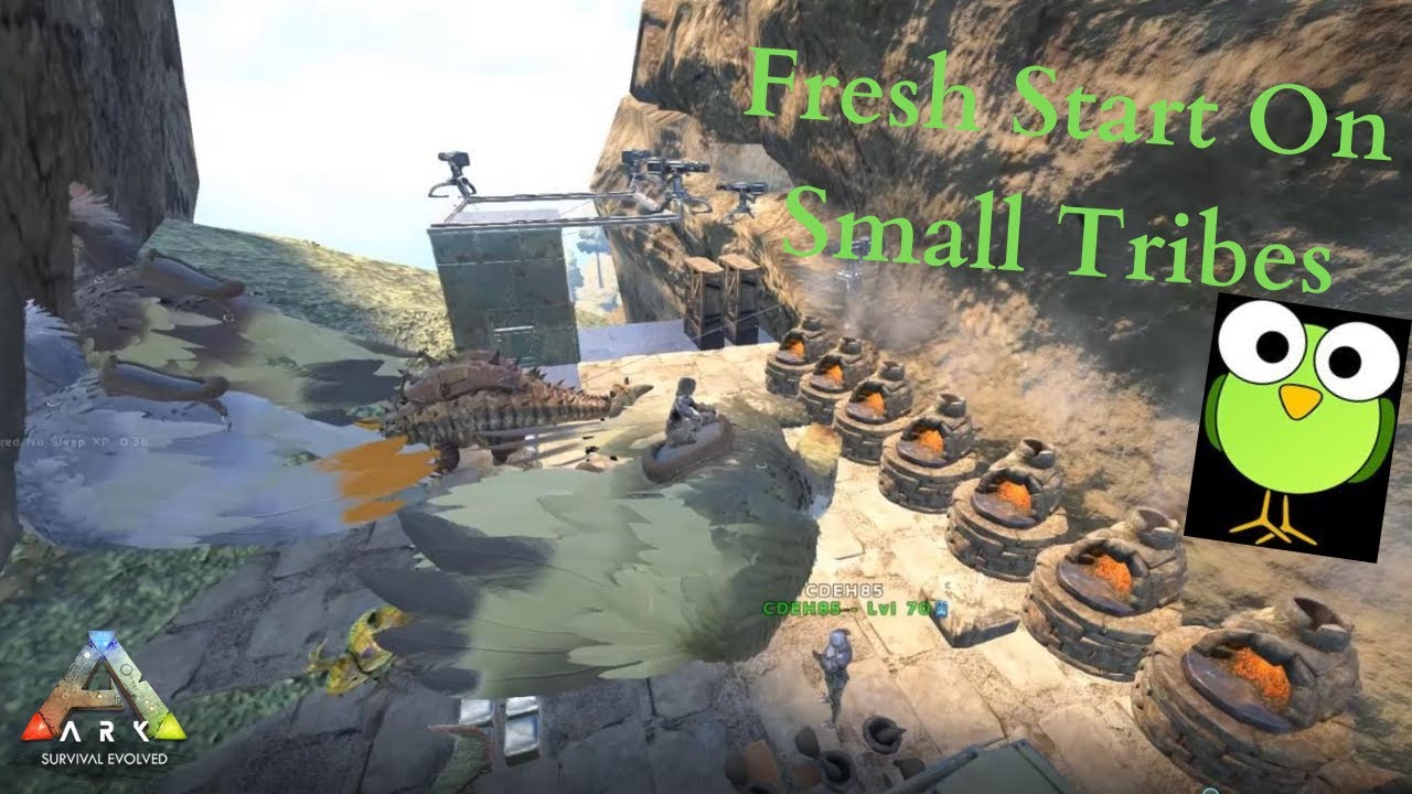 Starting Out Fresh On Official Small Tribes | Ark: Official Small ...