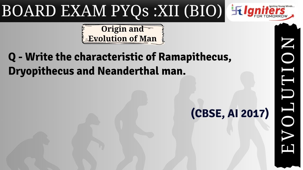 Write the characteristic of Ramapithecus, Dryopithecus and Neanderthal ...