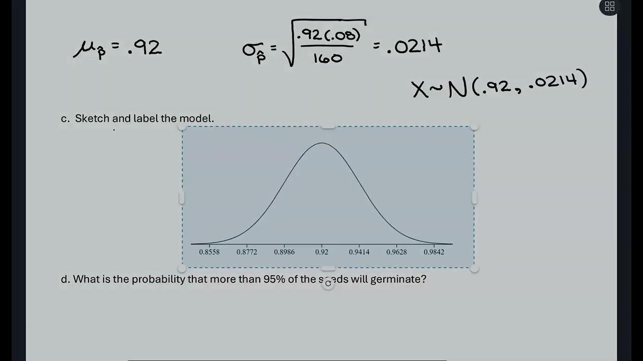 Sampling Distribution of Proportions Practice (Stapplet) - YouTube