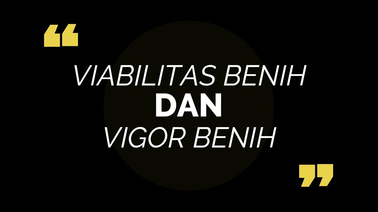 Viabilitas dan vigor benih - YouTube