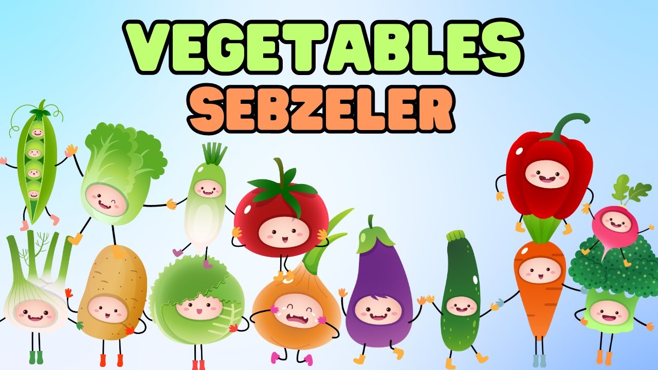 Learn Vegetables Name | Learn vegetables Turkish Vocabulary ...