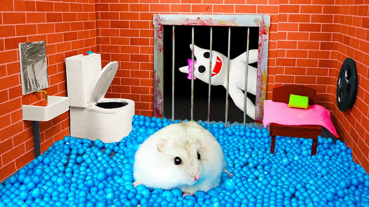 🐹Challenge Hamster Escape Banbaleena Maze with real life pets - Cute ...