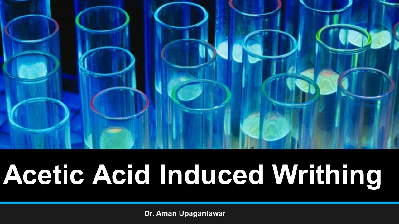 Acetic Acid induced Writhing Method - YouTube