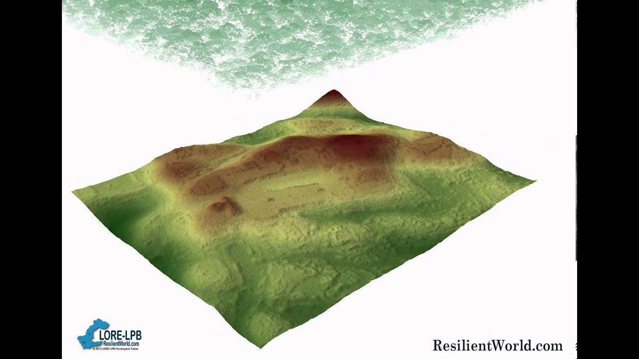 Main Platform - YouTube