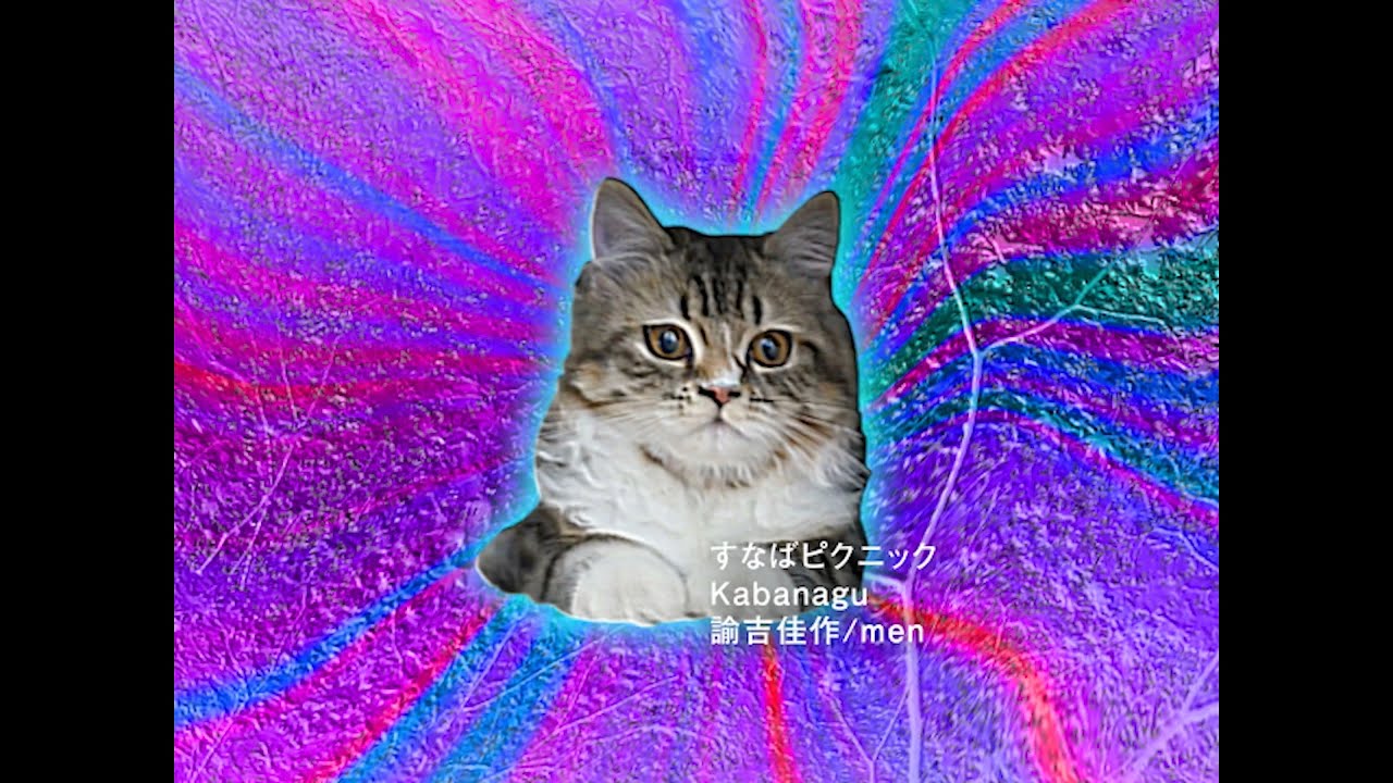 Kabanagu + 諭吉佳作/men「すなばピクニック」MV - YouTube