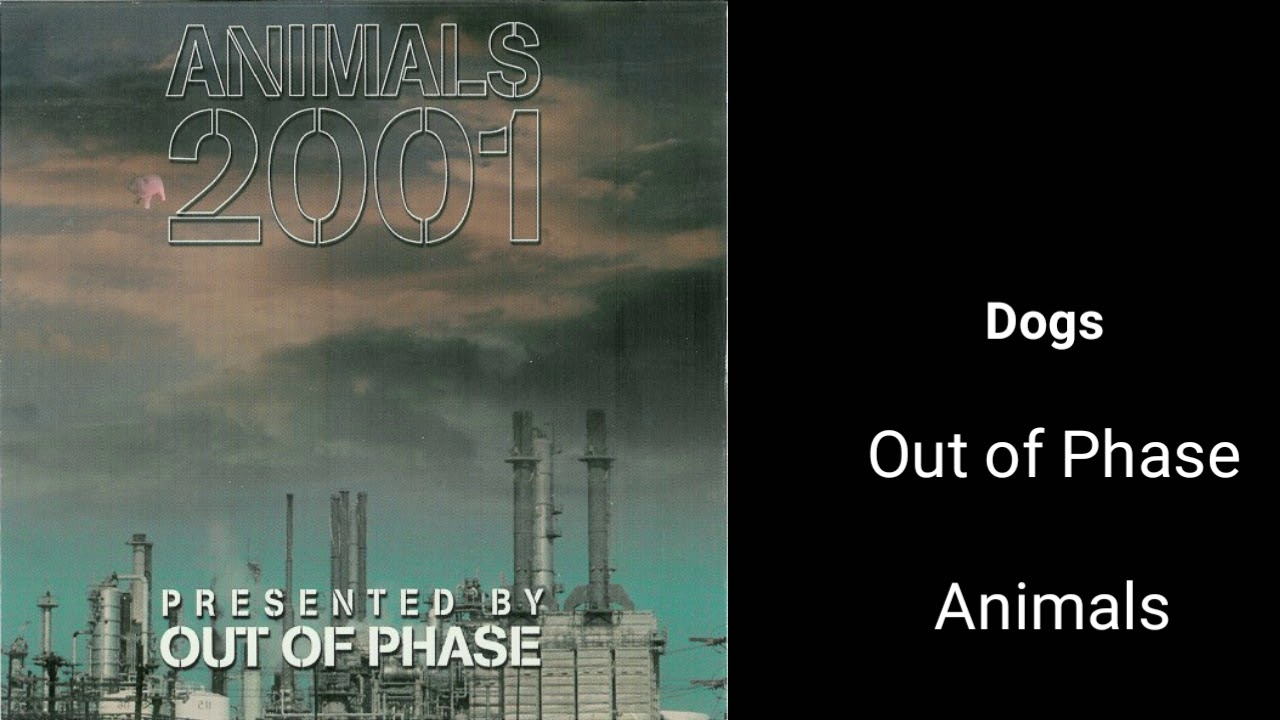Dogs | Out of Phase (Pink Floyd) - YouTube