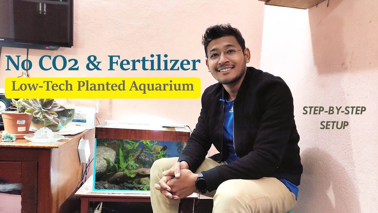 Low-Tech Planted Aquarium | No Co2 and Fertilizer | Easy Step-by-Step ...