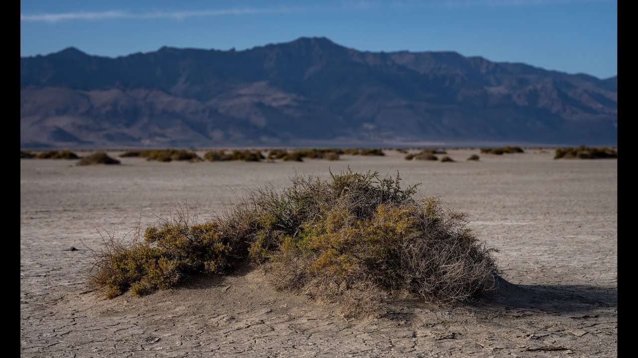 Southeast Oregon 2022: Alvord Desert, Steens, Abert Rim and Klamath ...