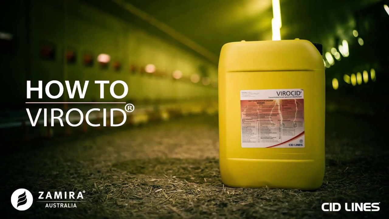 How to apply Virocid with foaming lance - YouTube