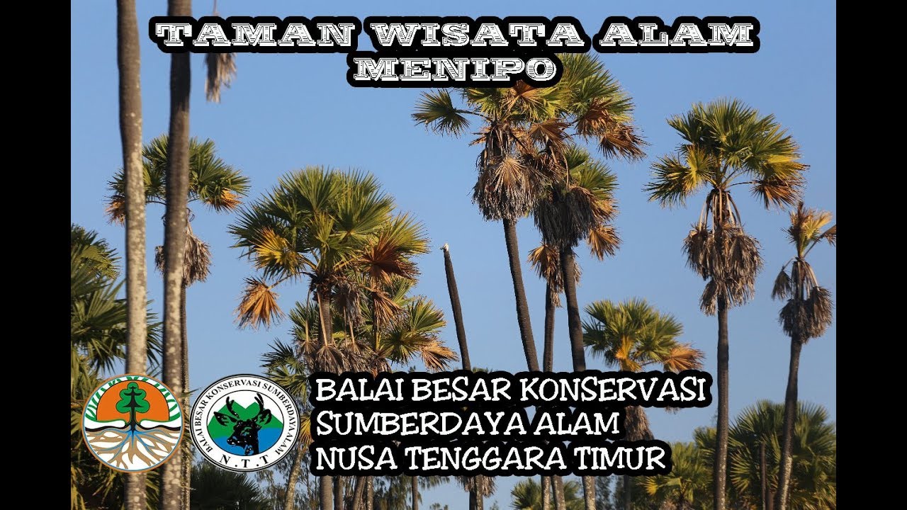 TWA MENIPO By Gialanie Hutomo & BBKSDA NTT - YouTube