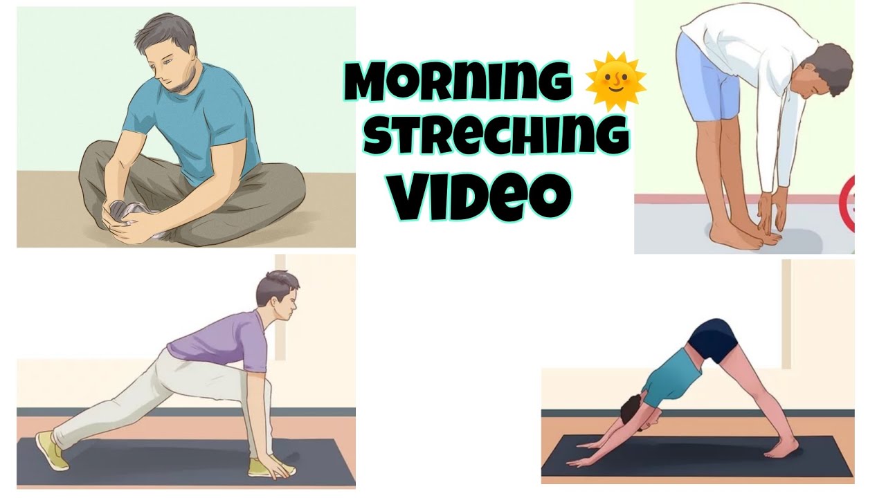 Morning stretches for beginners 👍 - YouTube