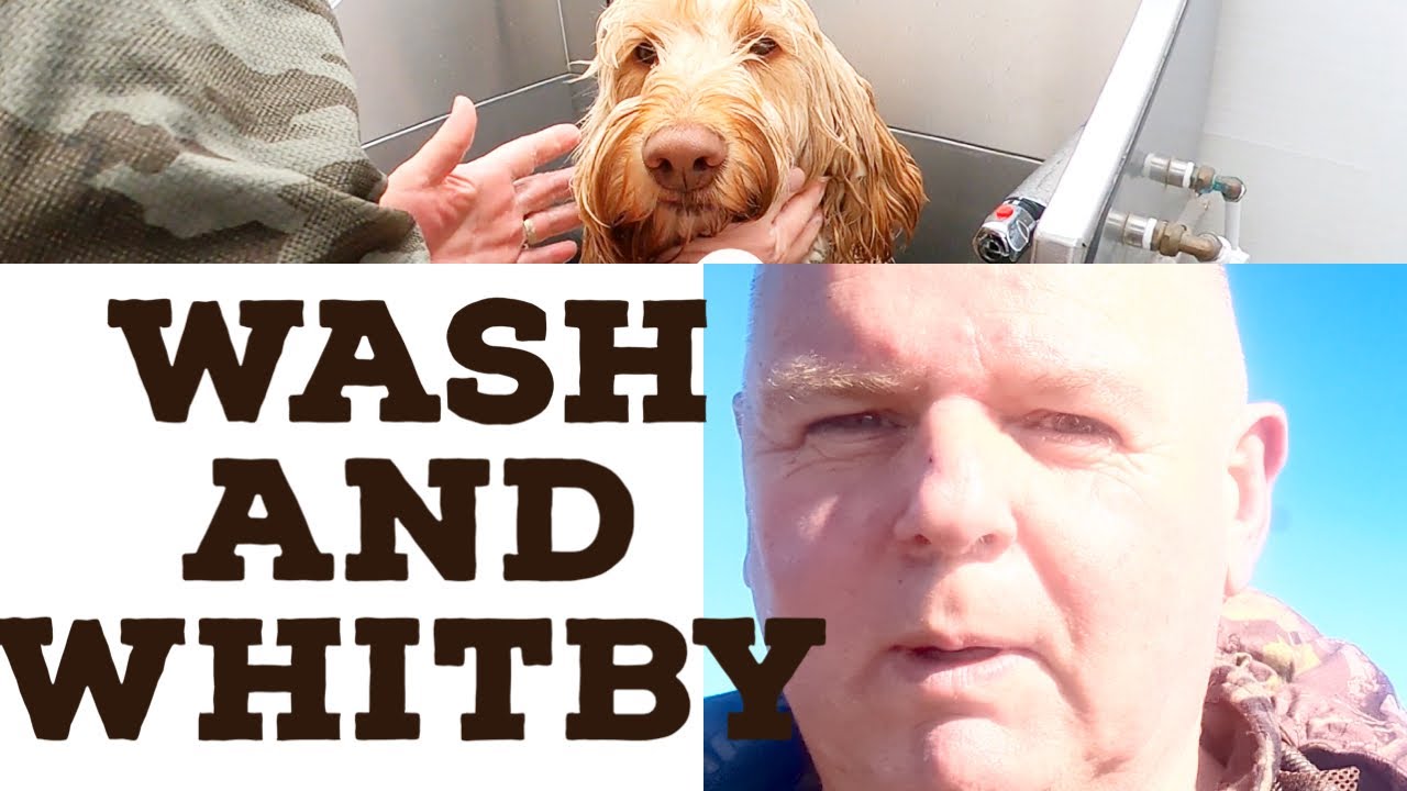 Washing Angus and Visit to Whitby - YouTube