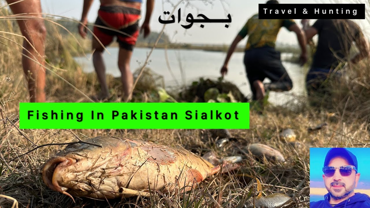 Fishing in Pakistan || Bajwat sector || galfam || baam fish || dhola ...