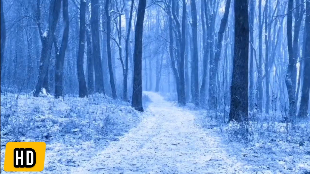 Relaxing Howling Wind Sounds 6 Hours | Sleeping, Relaxing or Studying ...