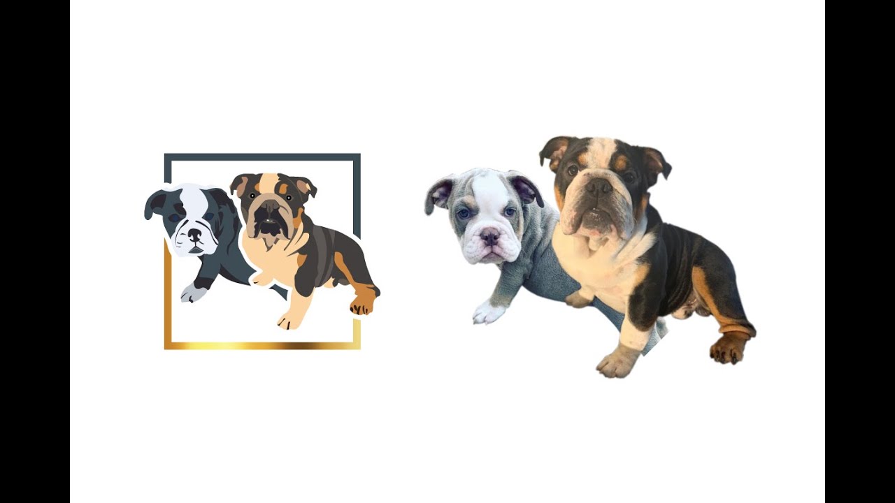 How to make Dog Character / Tracing logo from Photos In easy Way ...