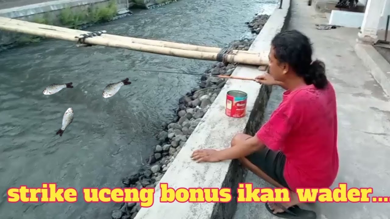 Mancing!!!! Strike uceng bonus ikan wader... - YouTube