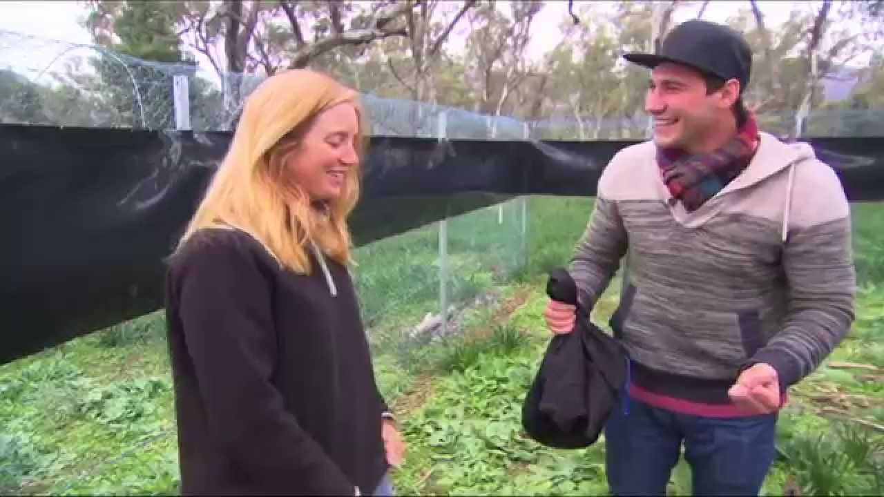 Seamus Evans Showreel 2014 - YouTube