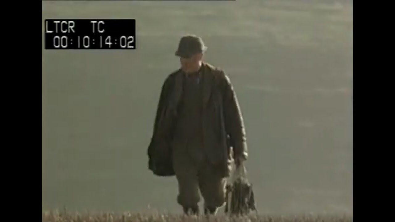 1970s Rural England | Pheasant rearing | Pheasant shoot | Documentary ...