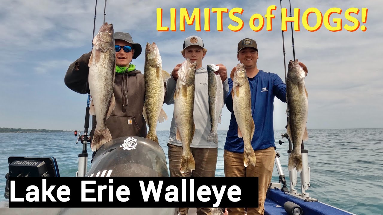 Lake Erie Walleye LIMITS of HOGS on Bandits - YouTube