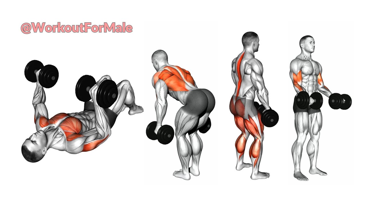 30 Minutes Full Body Dumbbell Workout at Home for Beginners | Build ...
