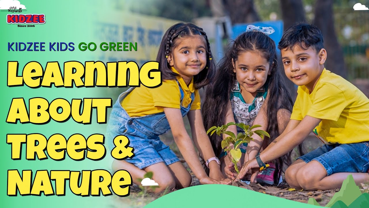 Kids Learning About Trees in Kindergarten School | Kids Explore Trees ...