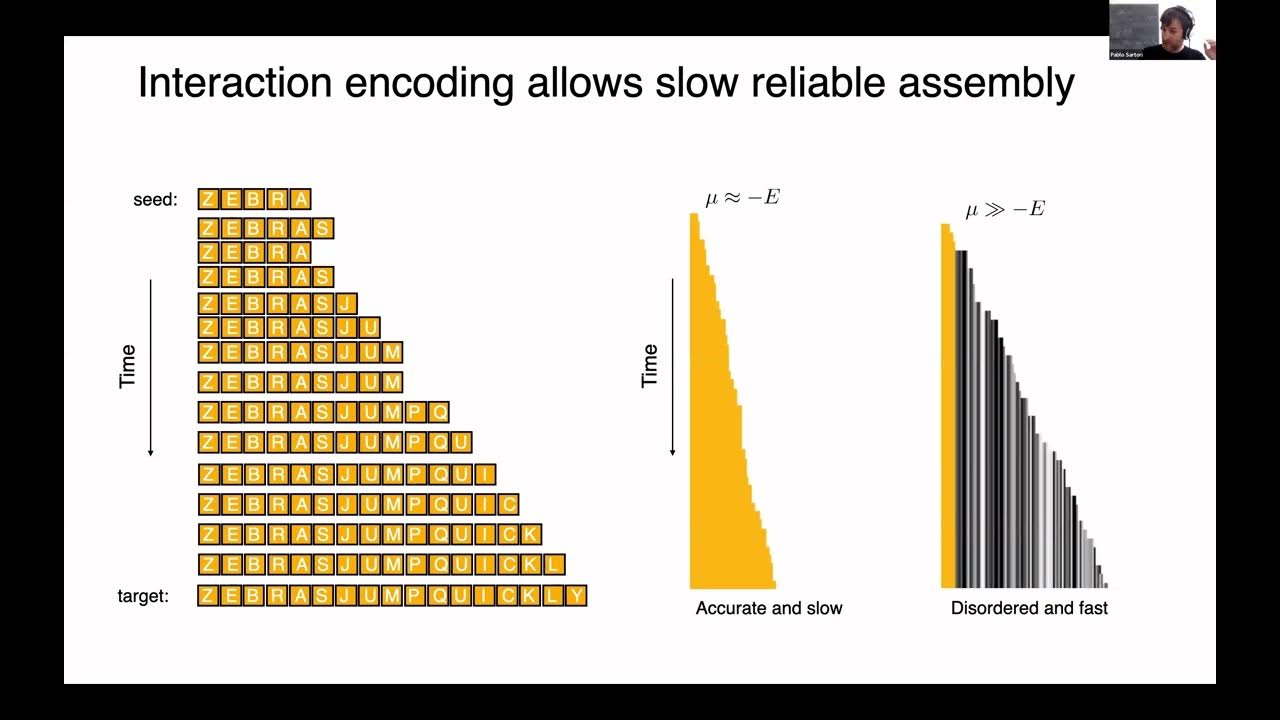 Pablo Sartori: Combinatorial encoding of heterogeneous assemblies as kinetic traps - YouTube