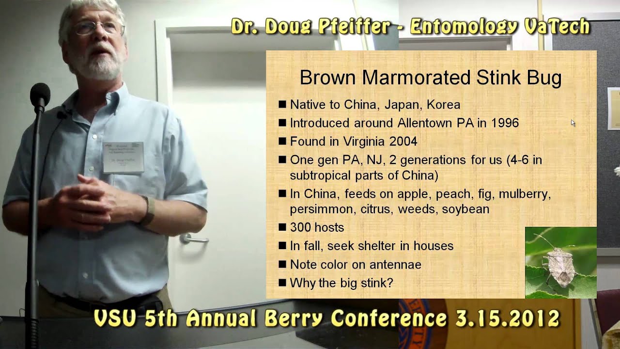 Dr. Doug Pfeiffer - Dept Entomology Virginia Tech - YouTube