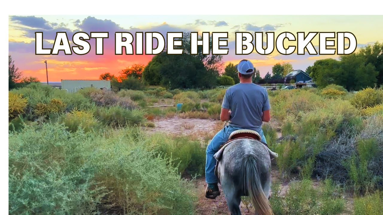 I Haven't Talked Him Into This Yet! - YouTube