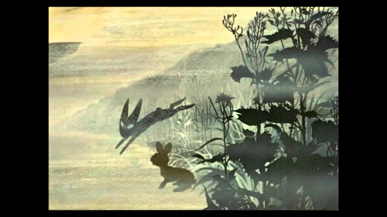 Consider The Octopus - White Rabbits - YouTube
