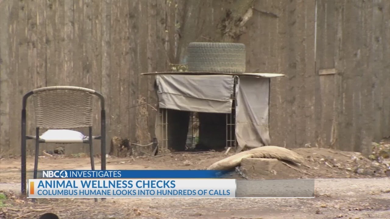 Columbus Humane conducting animal wellness checks - YouTube