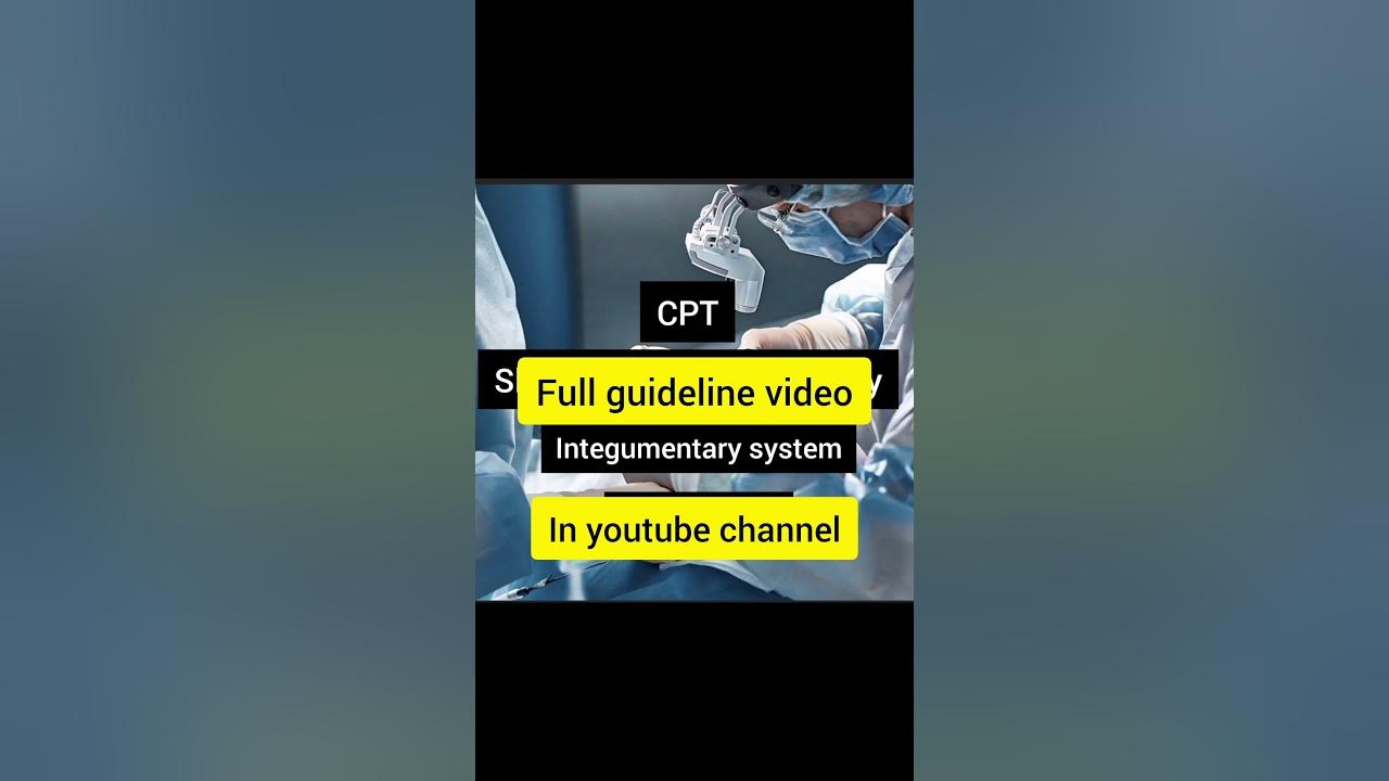 CPT integumentary system skin replacement surgery guidelines - YouTube
