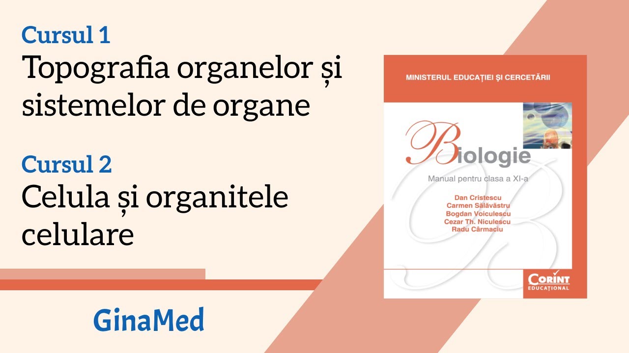 Biologie CORINT: C1. Topografia organelor și sistemelor de organe. C2 ...
