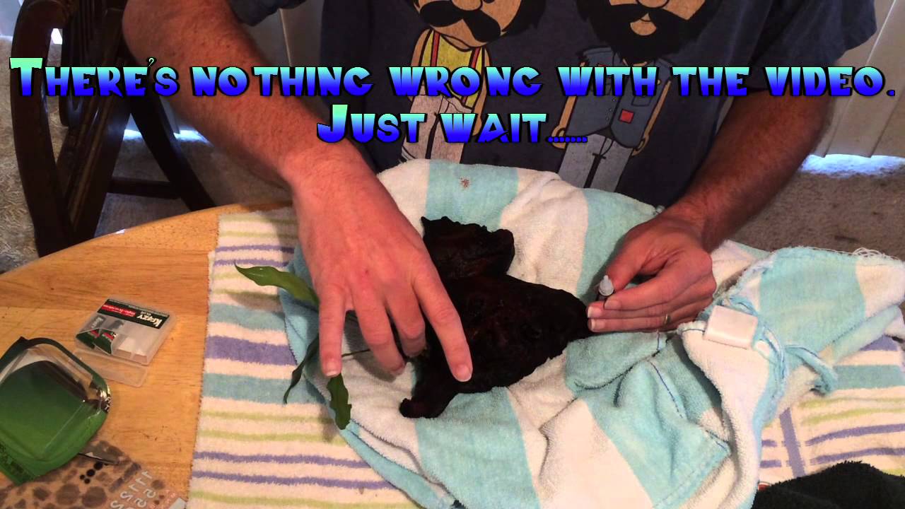 Fish Behind Glass 6- Mixing things up with a Sticky Trick, Moving Day ...