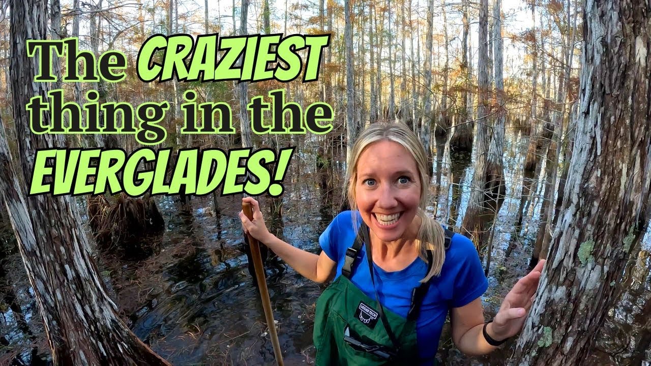 The most UNIQUE experience in EVERGLADES National Park | A SWAMP WALK ...