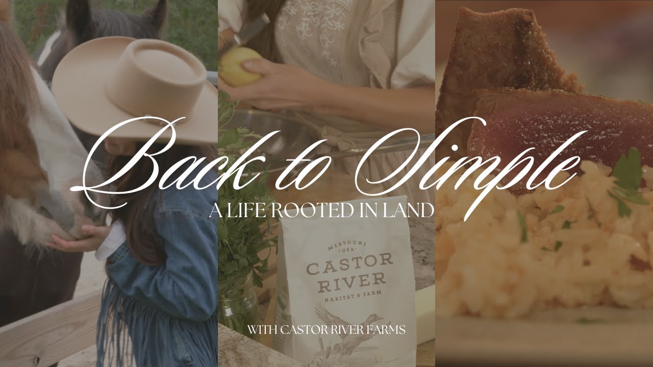 Back to Simple - YouTube