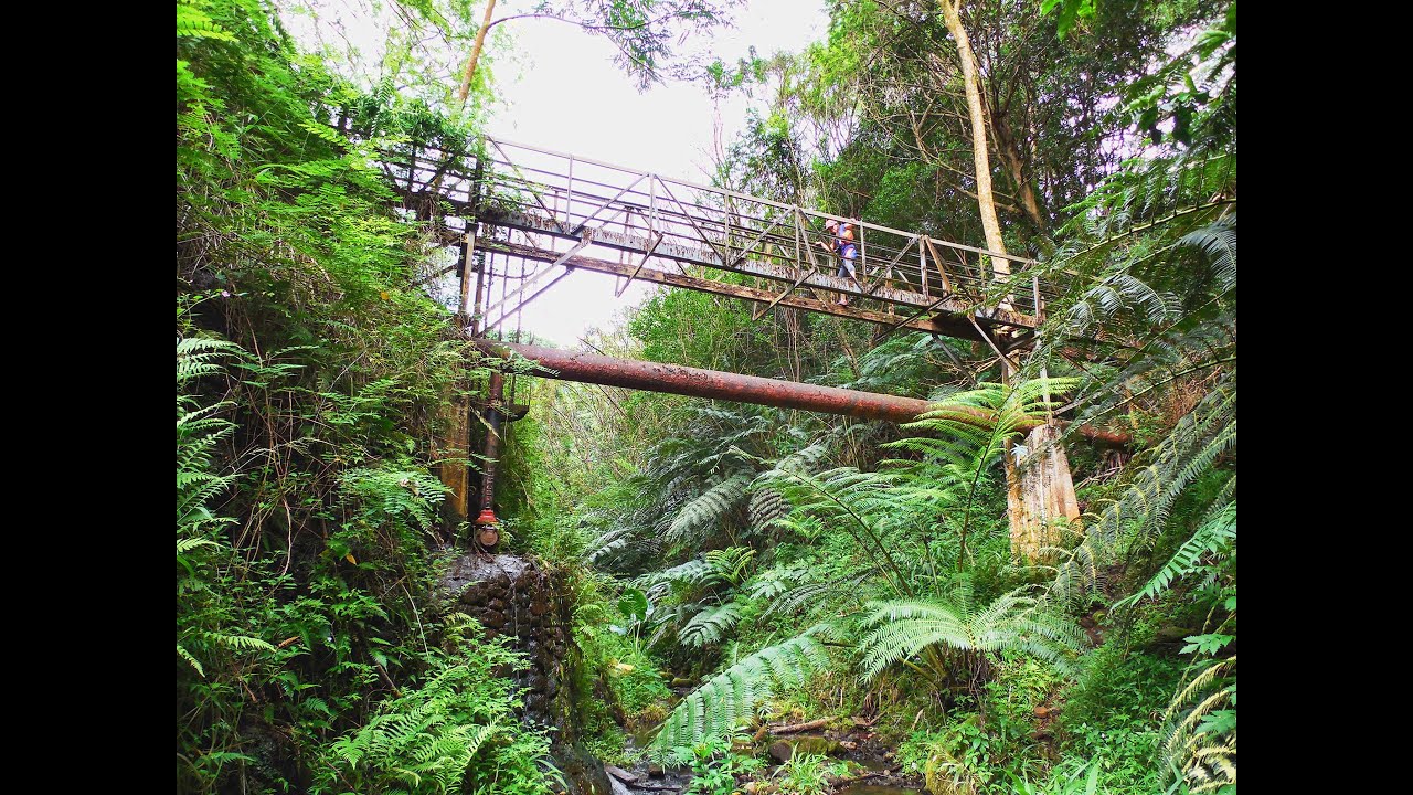 howzitboy hikes: Moss slides fun! - YouTube