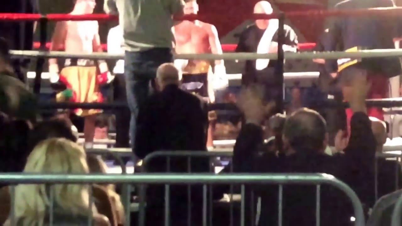 BOXING WITH BILLY BIRD!!!!! - YouTube