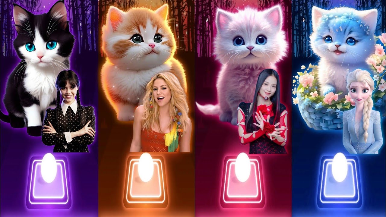 Cute Cats Songs | Wednesday Bloody Mary |Shakira Waka Waka | Jisoo ...