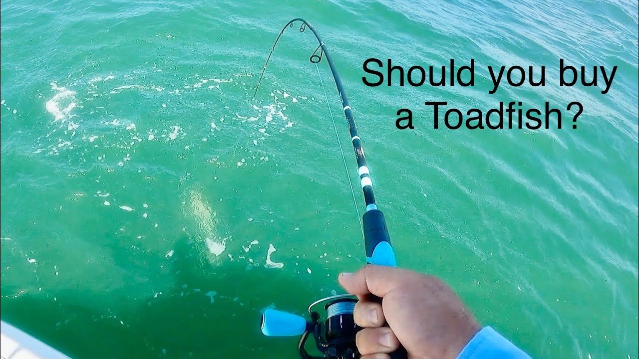 Toadfish Review 6'8" Two Piece Combo with 2000 Reel - YouTube