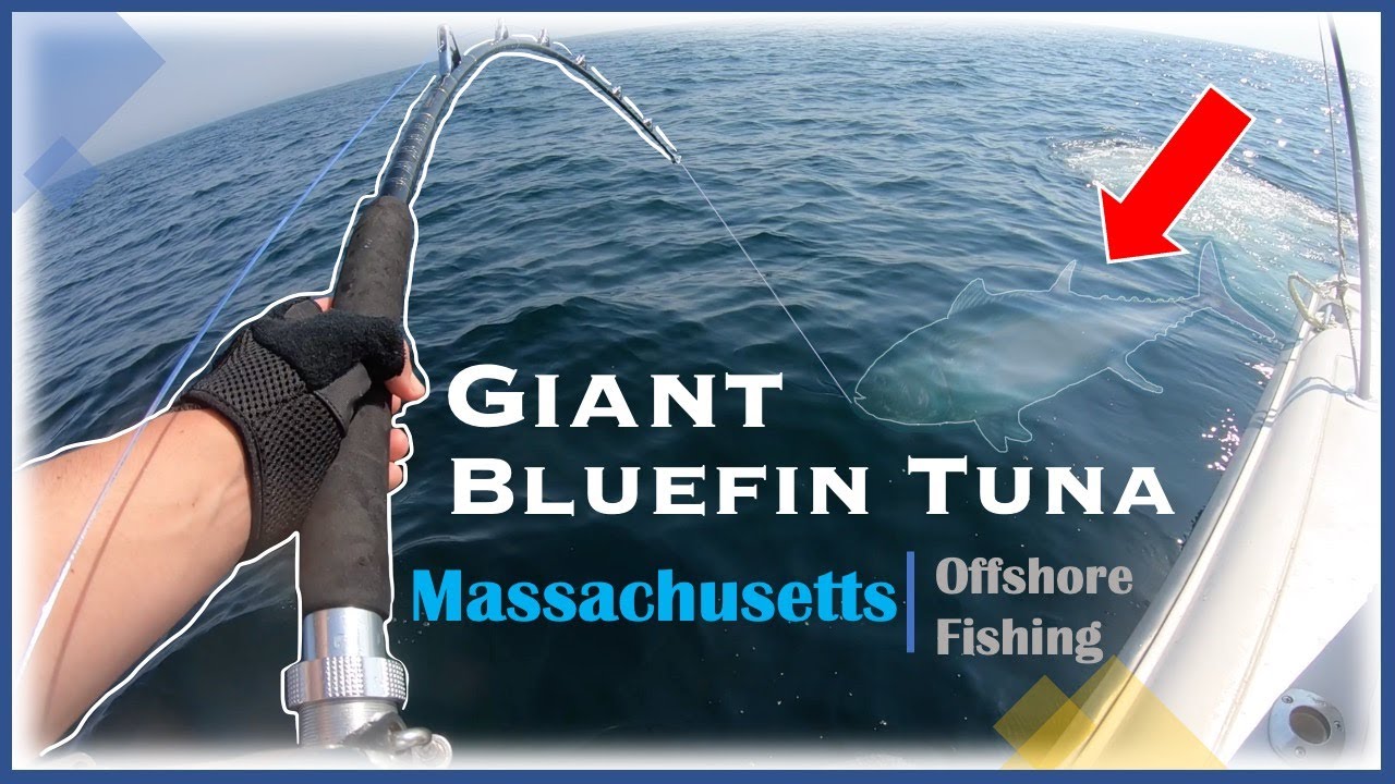 Fishing for Giant Bluefin Tuna in Massachusetts - YouTube