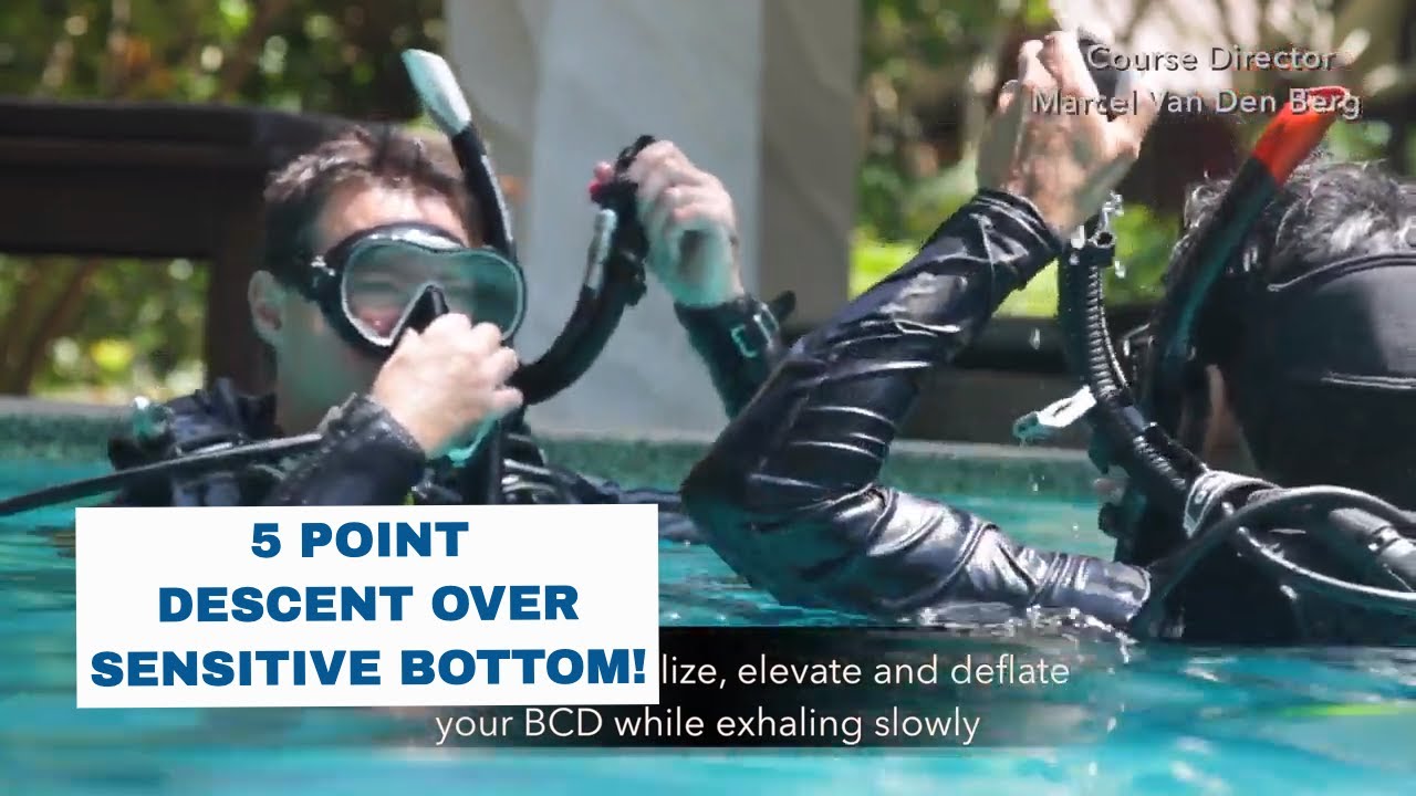 5 Point Descent Over A Sensitive Bottom • Skill Padi Open Water Diver