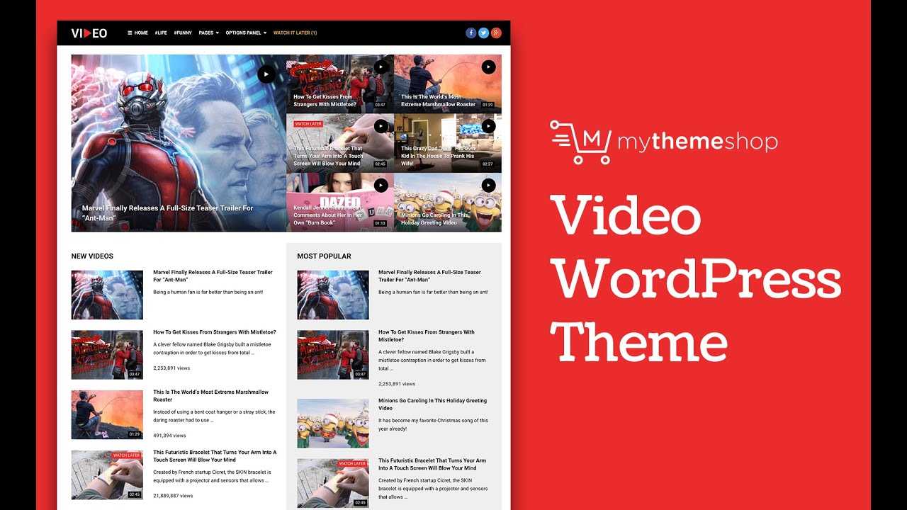 Best Video WordPress Theme - YouTube